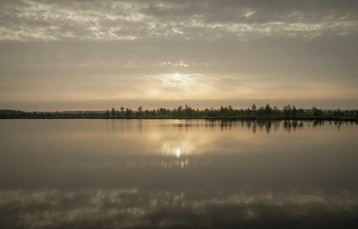 “Let go of the idea that gentle, relaxed people can’t be superachievers ...